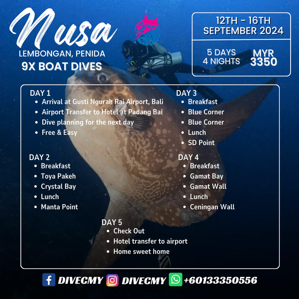 BALI-NUSA LEMBONGAN, INDONESIA – Dive C Sdn. Bhd.