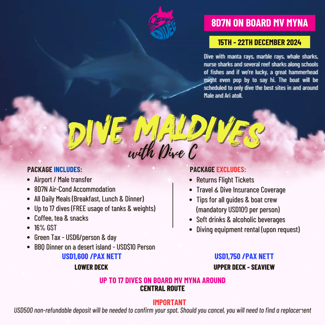 LIVEABOARD - MALDIVES – Dive C Sdn. Bhd.