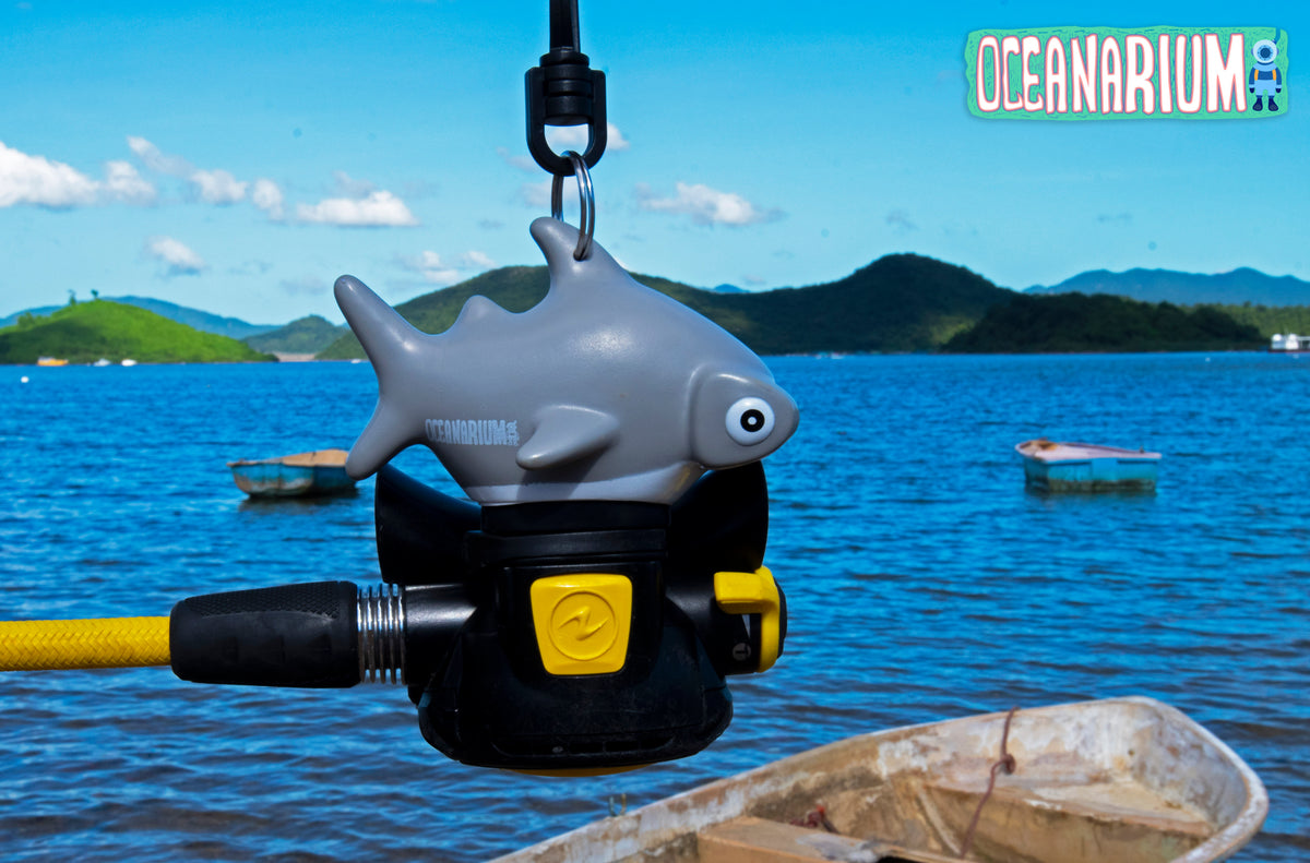 HAMMERHEAD OCTOPUS HOLDER – Dive C Sdn. Bhd.